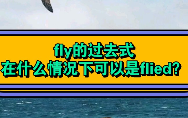 fly的过去式在什么情况下可以是flied?