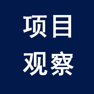 项目观察 