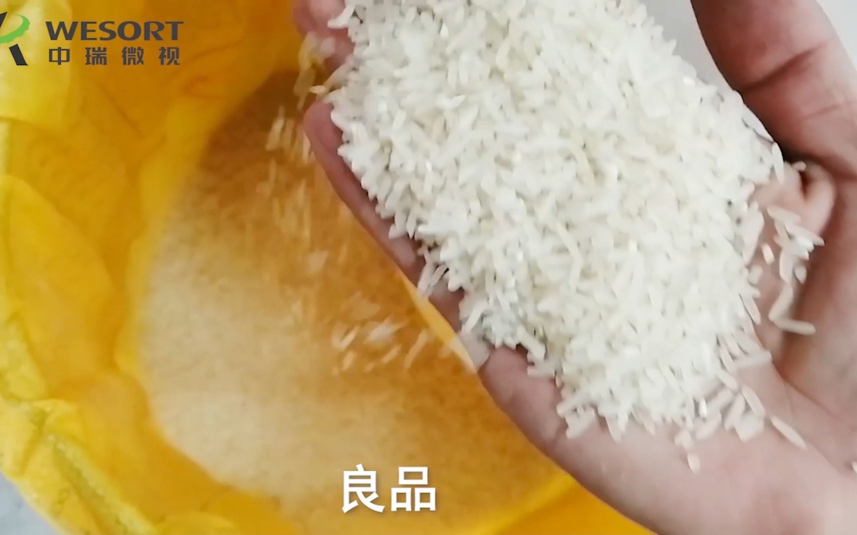 大米色选机工作原理视频