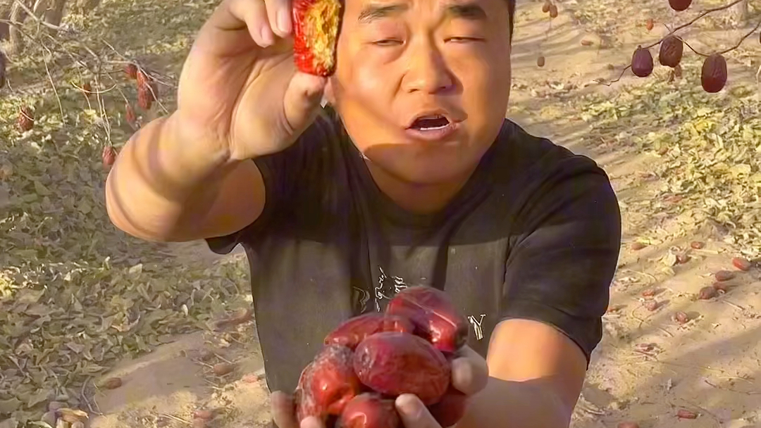 2023年新疆原生态和田大枣,皮薄肉厚核小,真的非常好吃