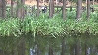 包包边角磨损怎么修复