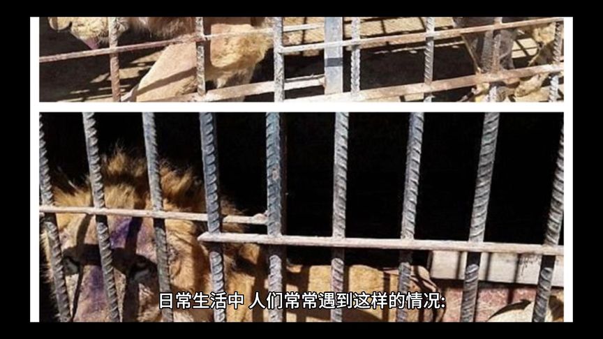 准确表达自己的意图(上)