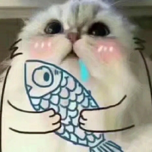 舍么R 