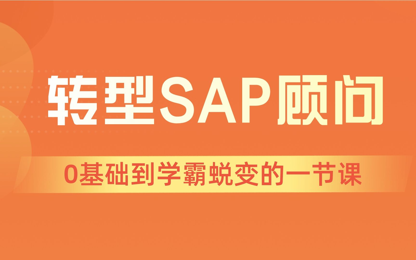 30天自学SAP-FI模块 从入门到精通 转型SAP顾问