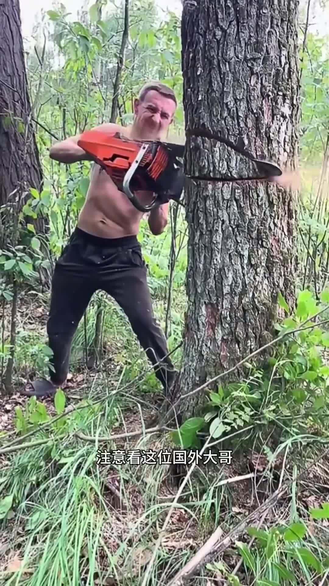 这位大哥砍树技艺登峰造极,着实令人佩服