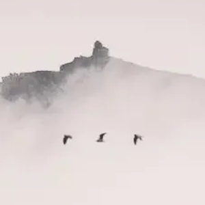 周子粥 