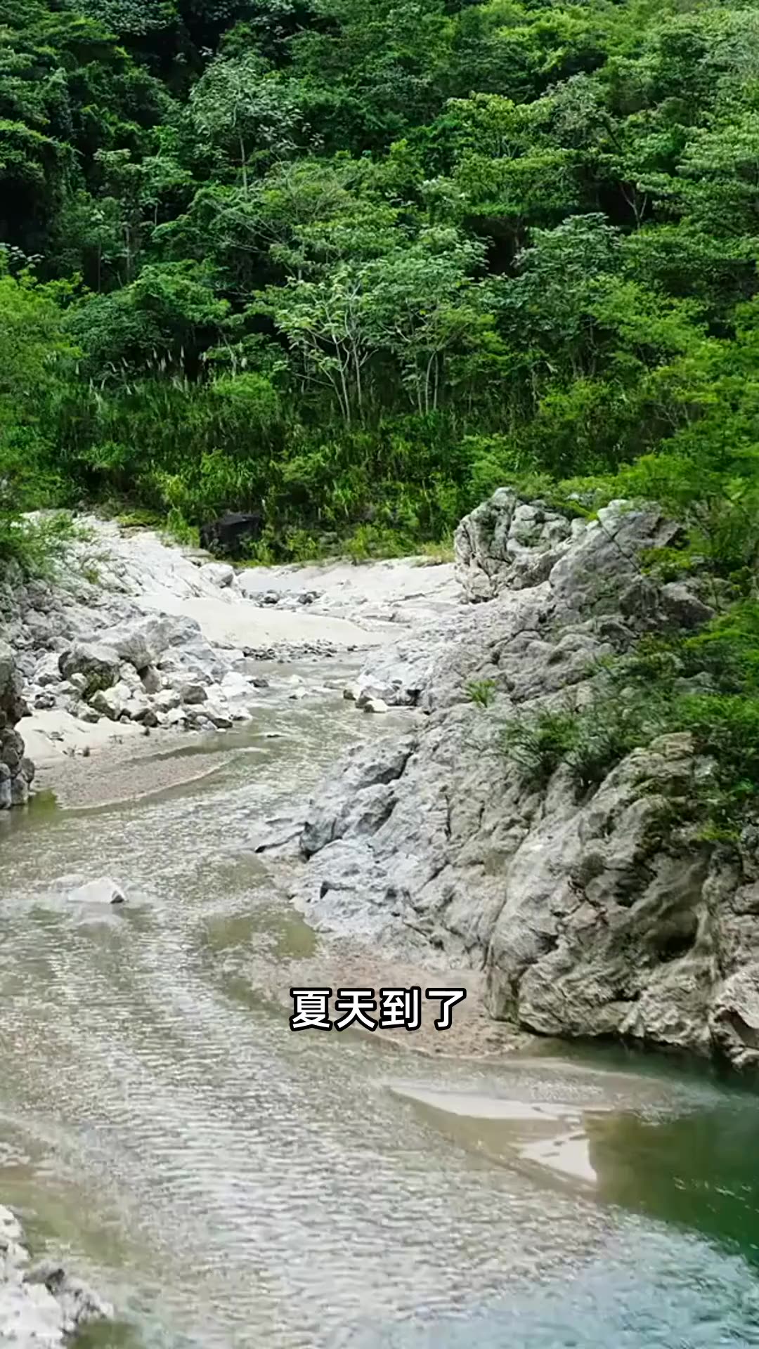 夏季养生吃芡实,但5种人不要“随便吃”,分享正确的吃法
