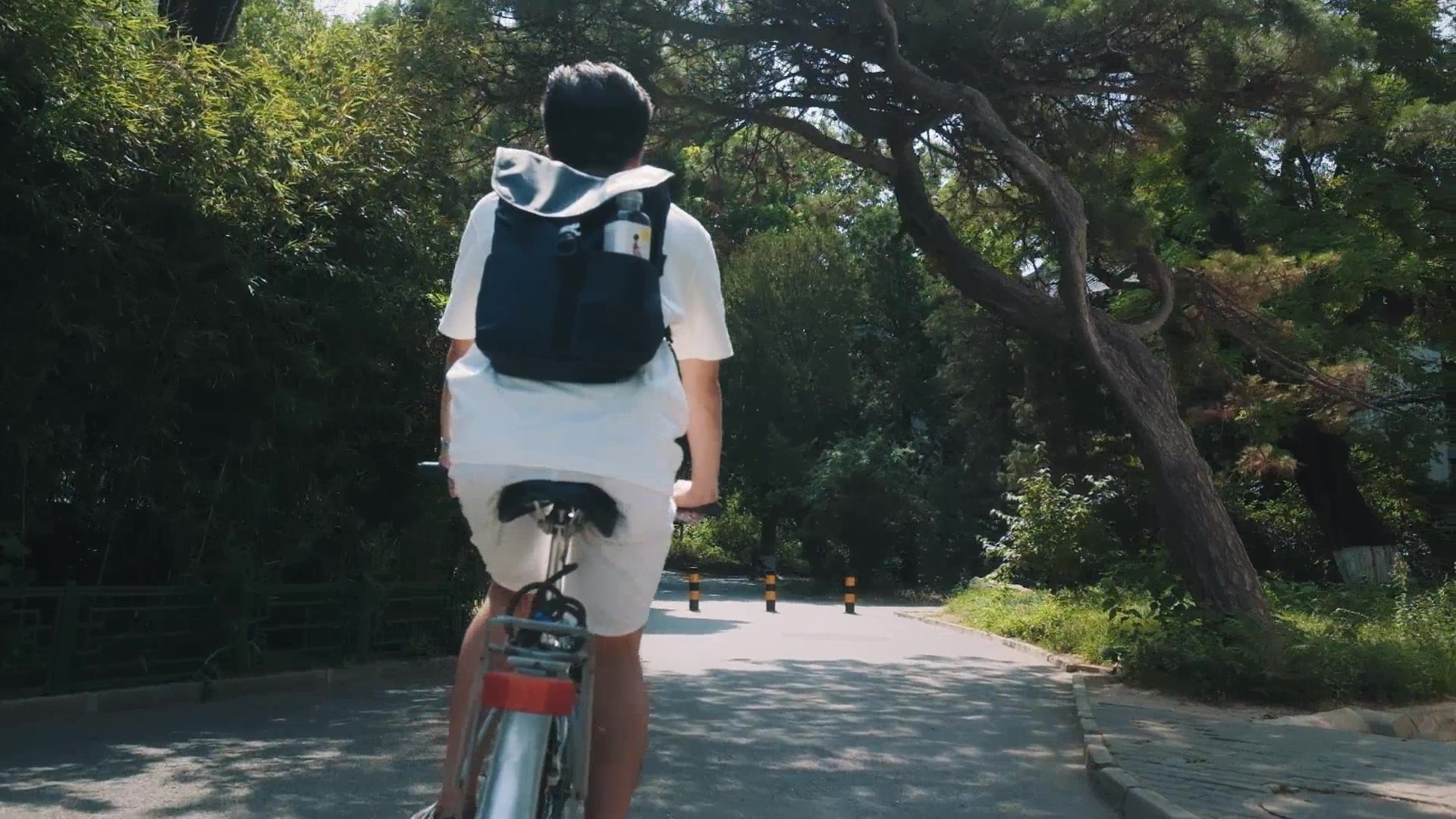 永远的校园——北京大学