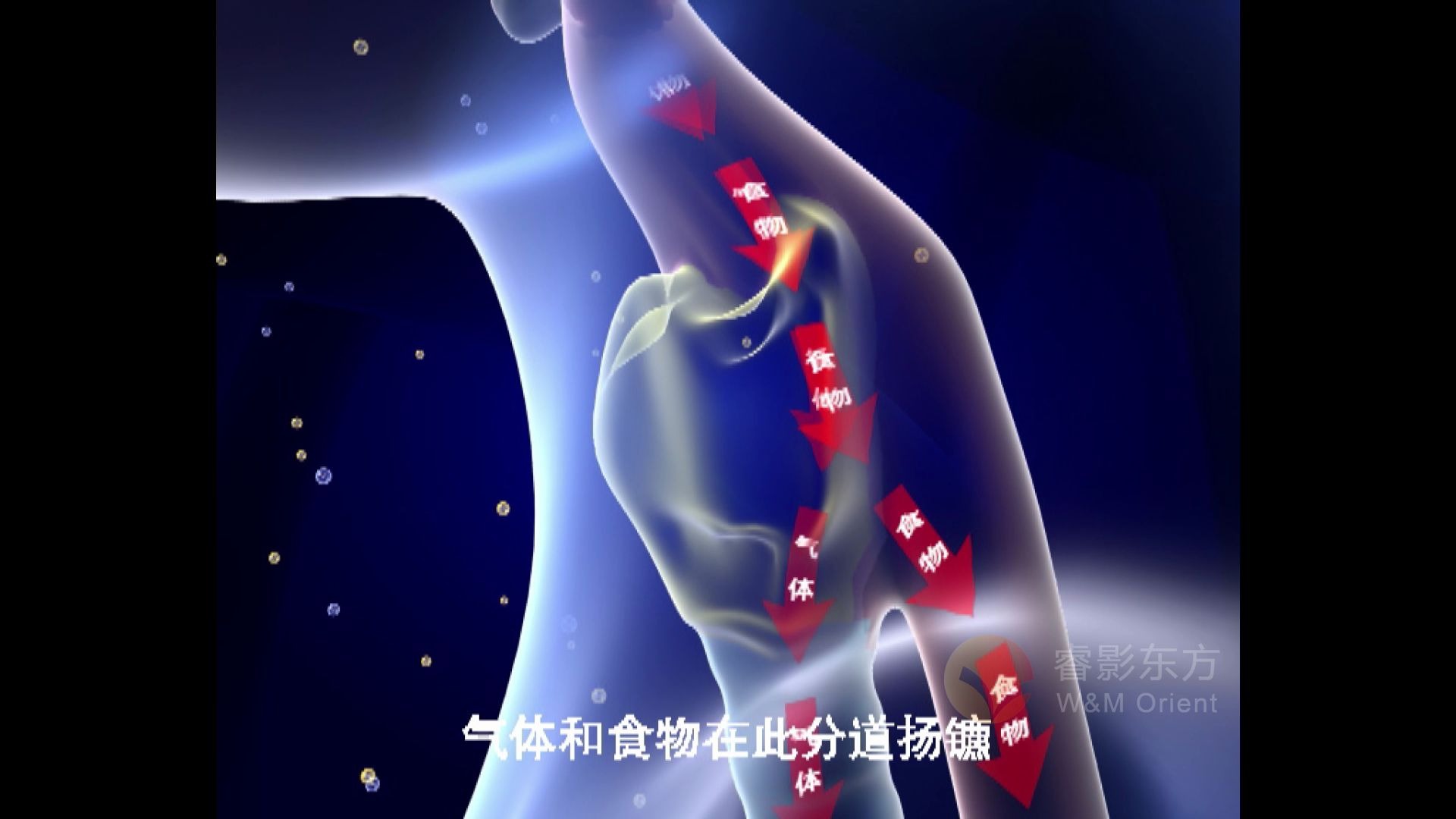 原创科普医学动画连载005—呼吸系统科普第一集