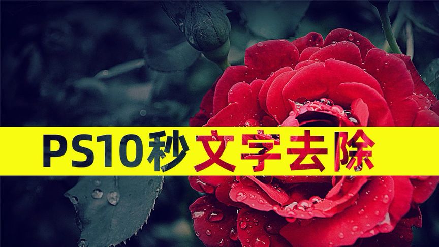ps10秒快速去除图片文字