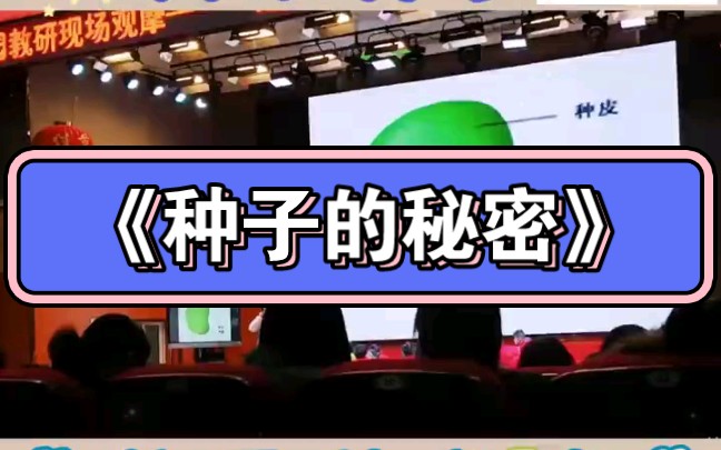 幼儿园公开课|大班科学《种子的秘密》