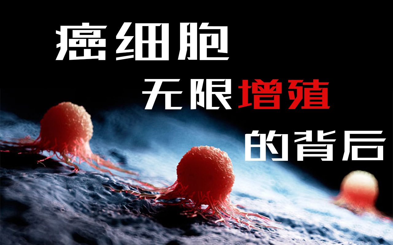 【深思派】癌细胞中,是否隐藏着人类永生的密码? 癌细胞无限增殖背后...