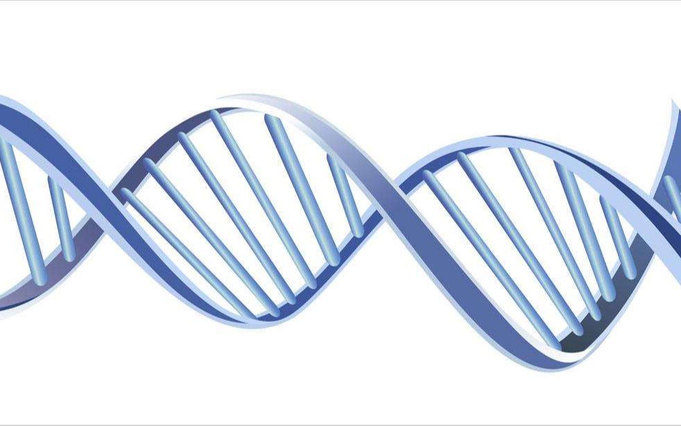 DNA分子的结构和复制有关计算题讲解