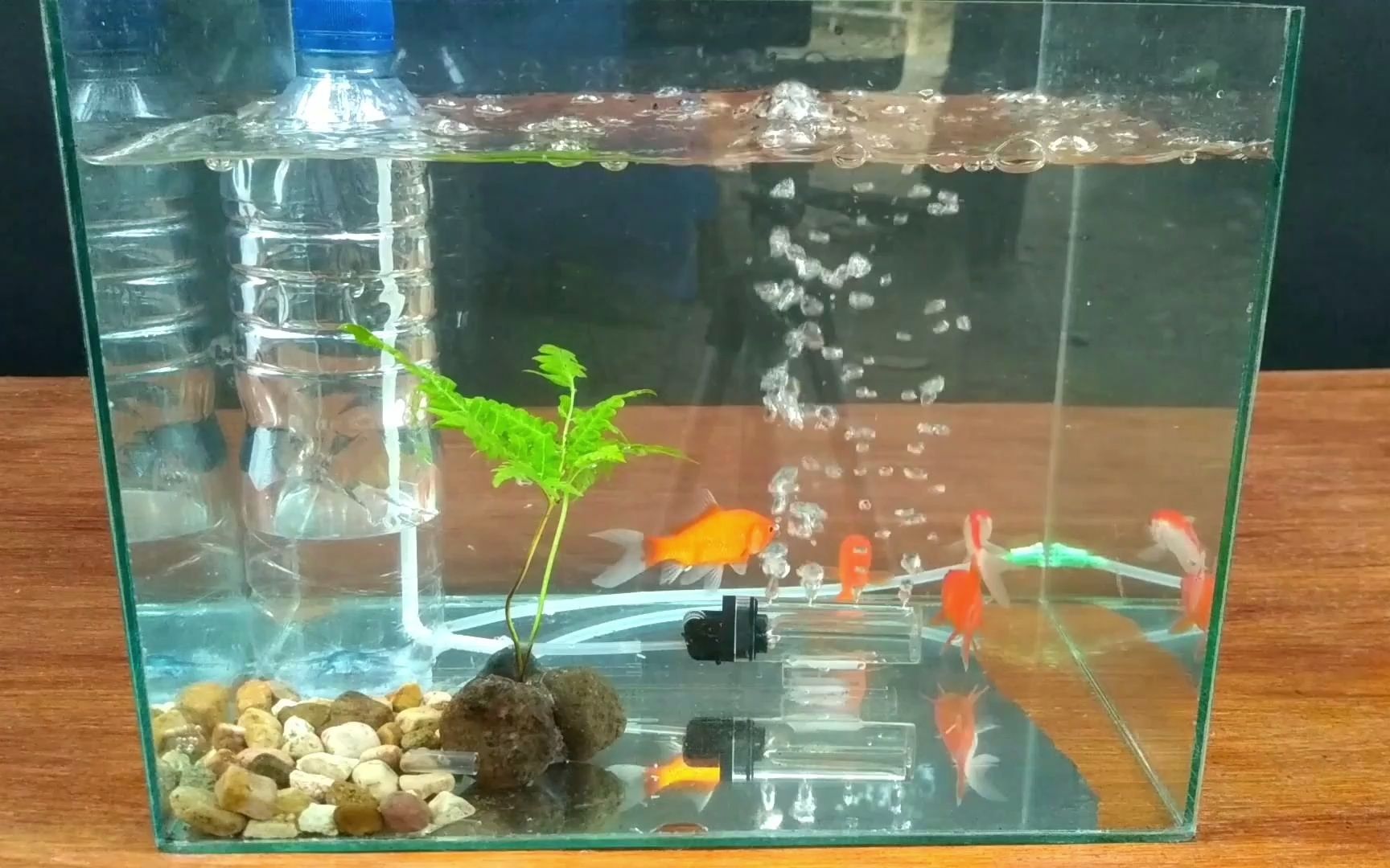 空瓶子做一个不用电的鱼缸氧气泵