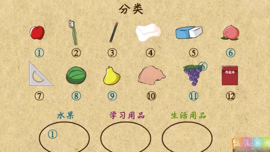 小学一年级数学:结合生活学会分类,能对日常物品进行整理分类