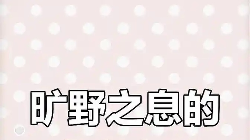 塞尔达传说:旷野之息的舒适声音体验