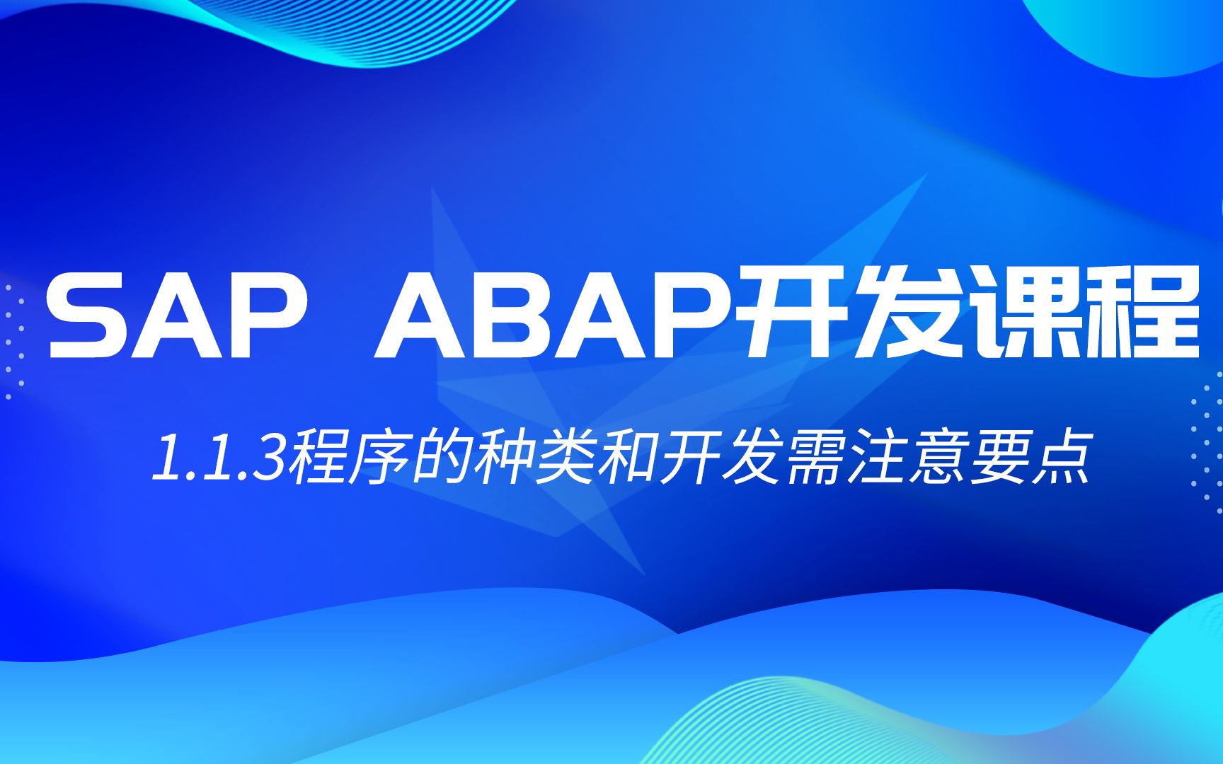 【SAP ABAP基础教程】1.1.3程序的种类和开发需注意要点