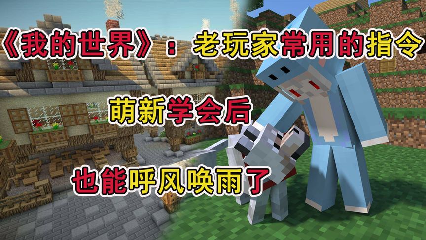 《我的世界》:老玩家常用的指令,萌新学会后,也能呼风唤雨了