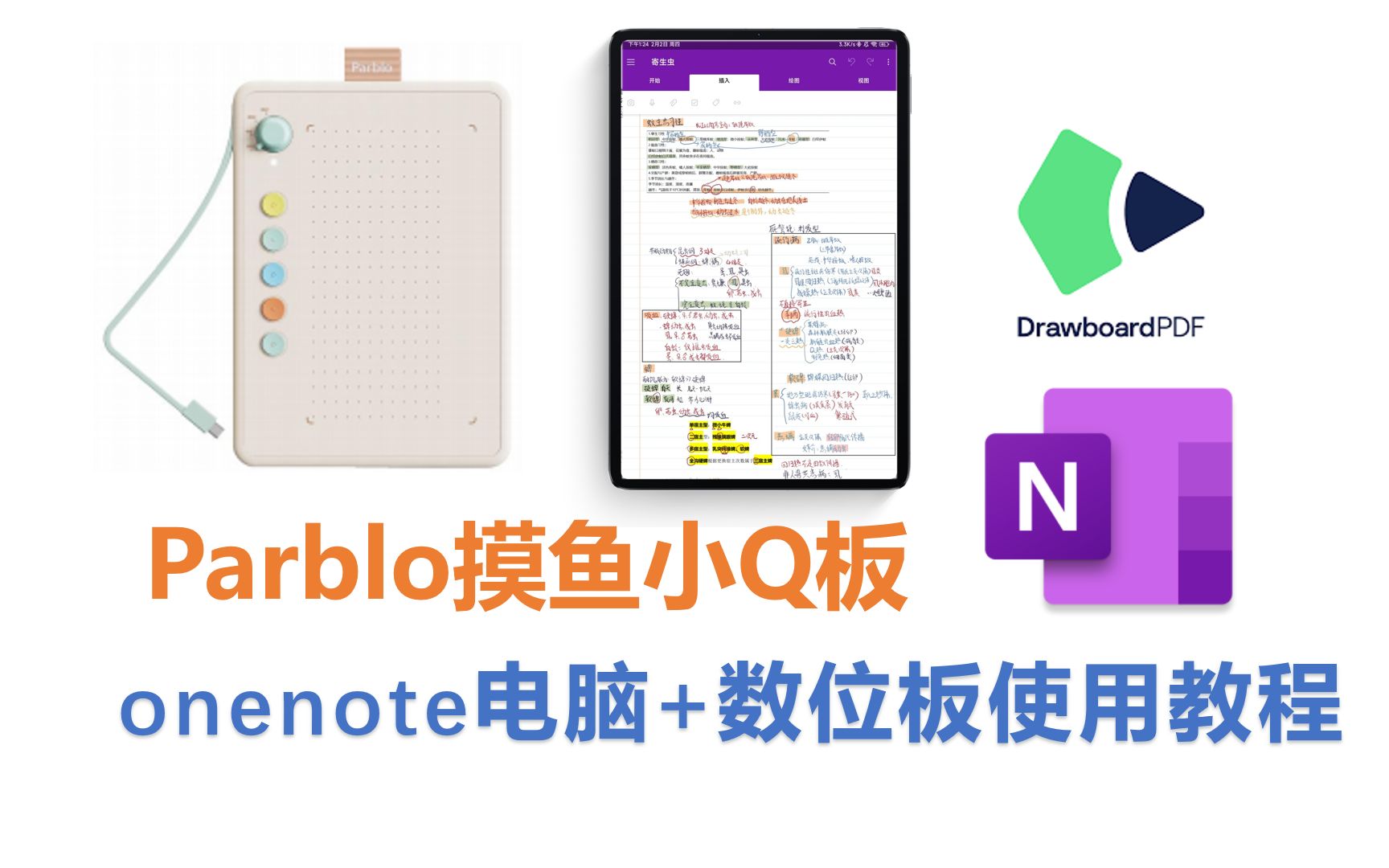 Parblo摸鱼小Q板使用感受 || 数位板配合电脑使用指南OneNote、Draw...