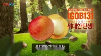 FormBIO 野生芒果果冻-视频介绍-2