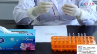 血型测定,云南省三校生医学类、护理类、药剂学类专业考试视频