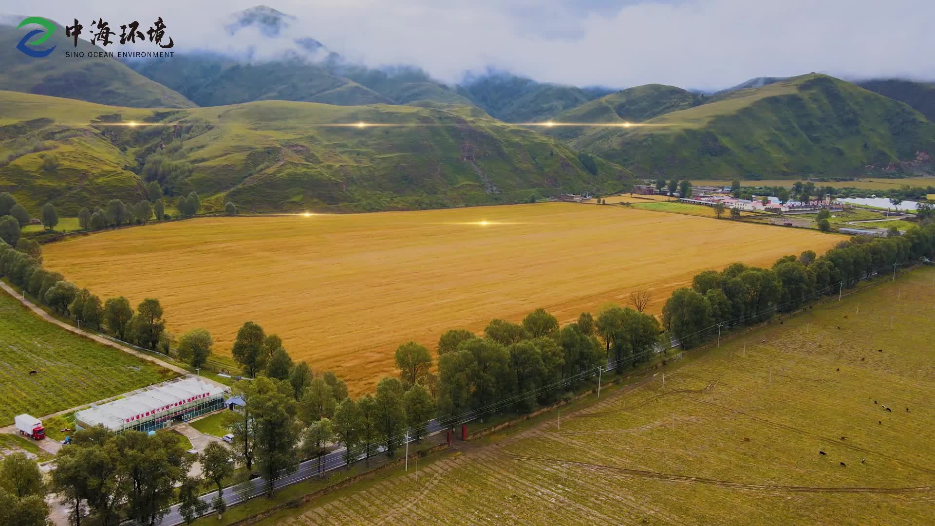 什么是“藏粮于地”?高标准农田建设和“藏粮于地”有什么关系?