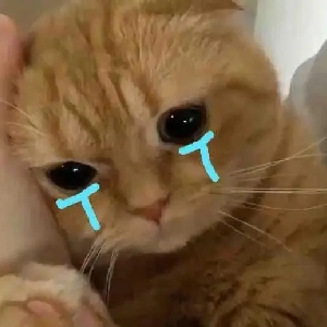 我才是龙霸天 