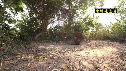 经过仔细规划设计后,最终把房屋建造在地底,住在里面享尽了奢华