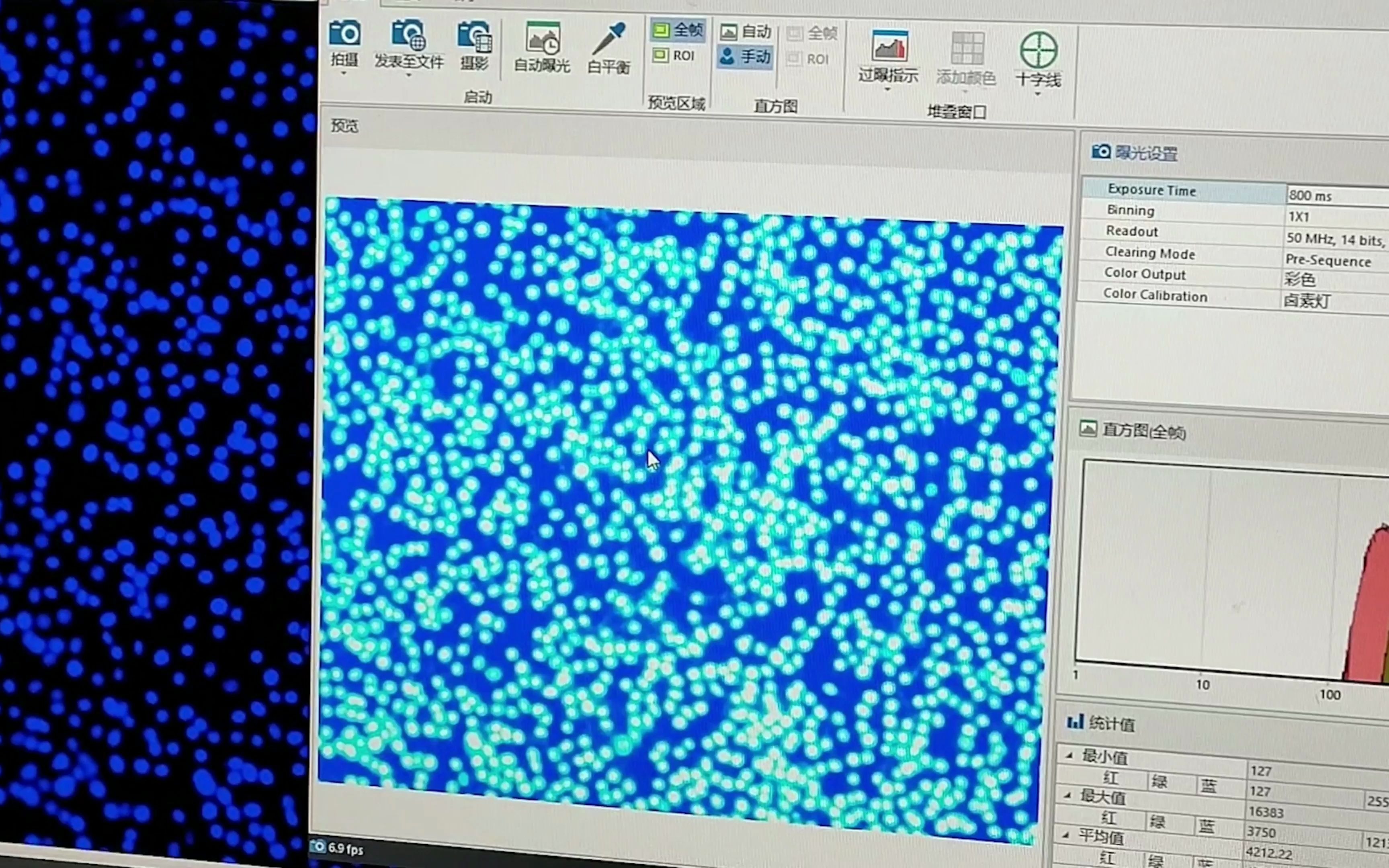 【细胞免疫荧光实验】