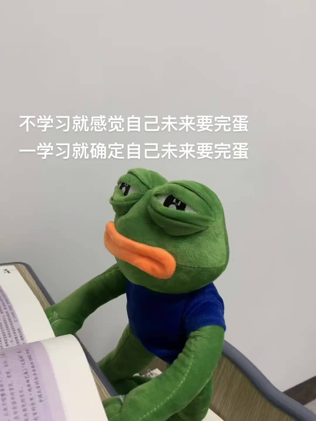 不学习就感觉自己未来要完蛋一学习就确定自己未来要完蛋