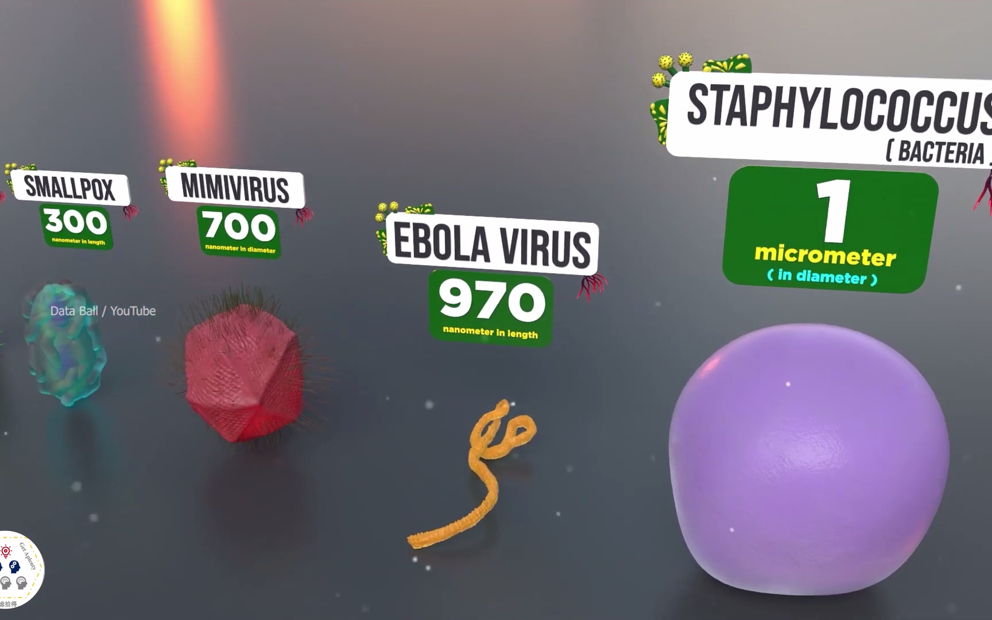 微生物大小比较【病毒、细菌、抗体、细胞】