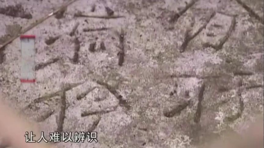X档案:石头上刻满天书,神秘的特殊符号,竟是古老苗族的文字