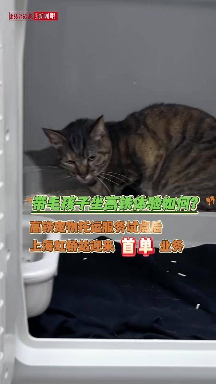 带毛孩子坐高铁体验如何?高铁#宠物托运服务试点后,#上海虹桥站迎来...