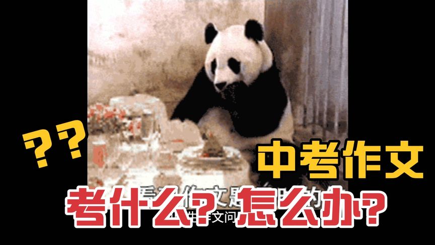 中考不到100天,浙江台州作文考什么?怎么复习?听教研员怎么说