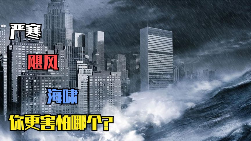 灾难电影:全球变暖,北极冰川融化,人类在灾难面前宛如蝼蚁