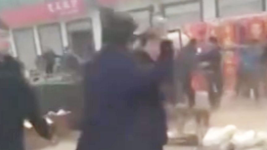 邯郸城管与摊贩发生肢体冲突 官方:涉事队员停职检查