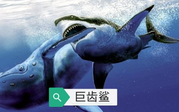巨齿鲨和大白鲨到底谁最恐怖?
