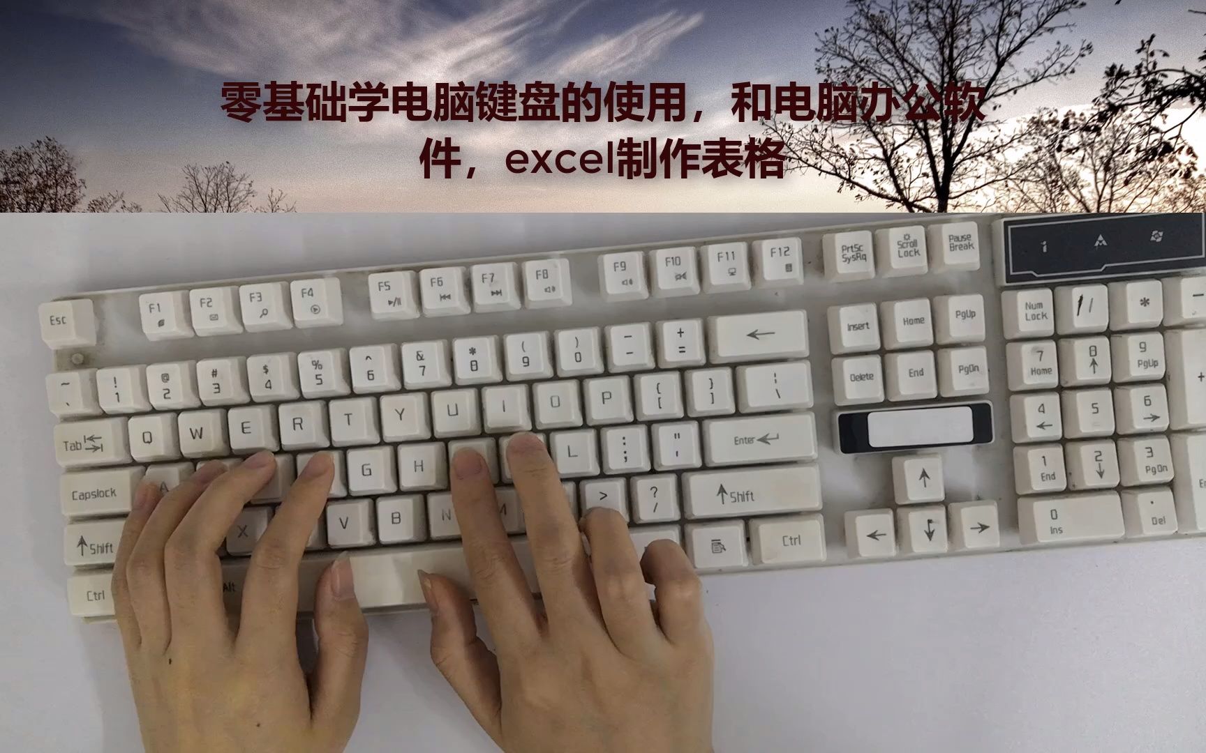 电脑零基础入门教学知识,键盘主键盘区讲解,自学教程