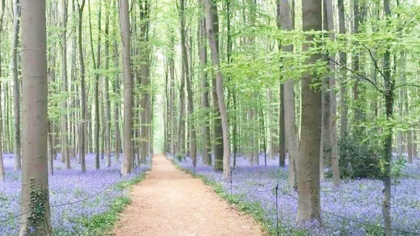 初学者可学的风景绘画视频教程,一起动手画起来吧!