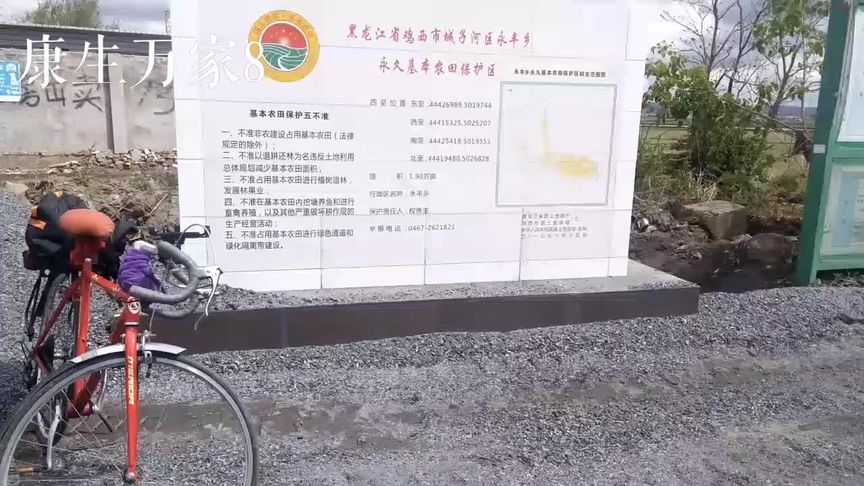 水稻的抛秧种植大家看过吗?对和不对希望大家评论