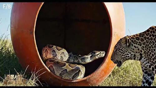 海上惊现巨型移动堡垒!废弃浮标竟暗藏玄机