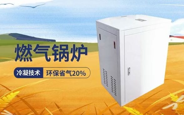 低氮燃气锅炉介绍