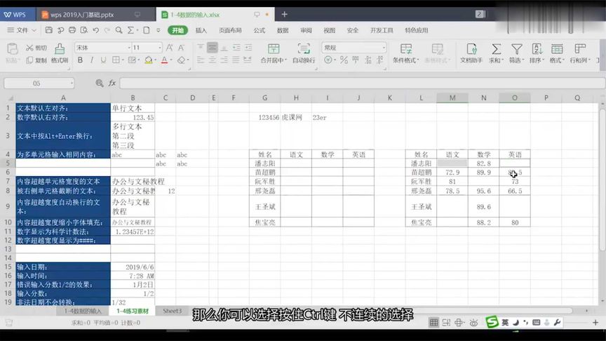【WPS Office零基础教程】第37集 数据的输入
