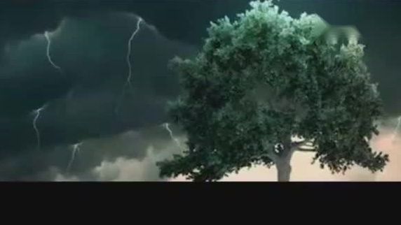 真实还原95年安徽巨蟒渡劫事件