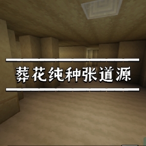 葬花纯种张道源 