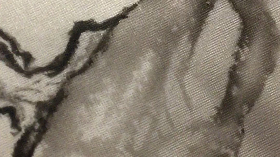 浓破淡湿画宋绢在线的绢