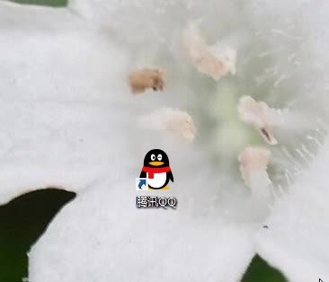 vbs鬼畜整人小程序
