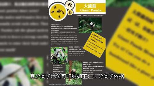 熊猫是熊科还是猫科?