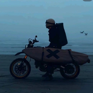 AAAAA专业叉车20年 