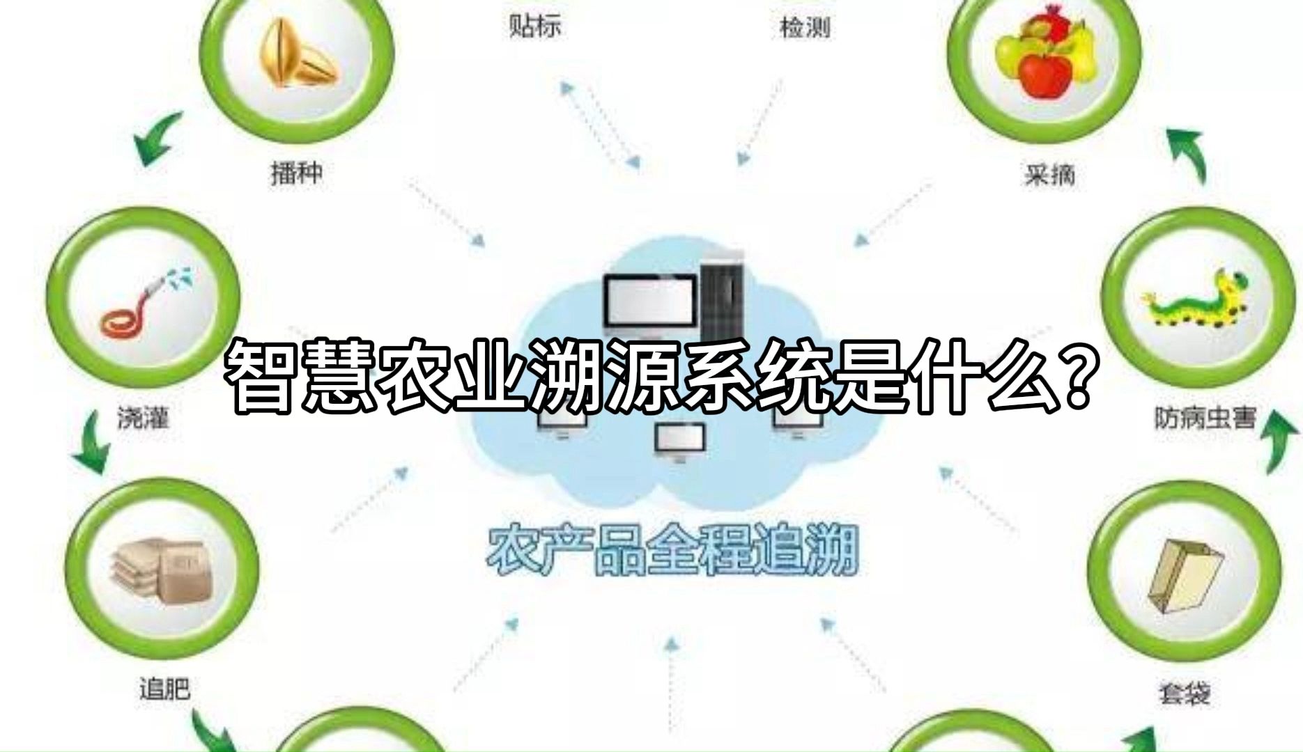 智慧农业溯源系统-元丰科技|智慧农业溯源系统是什么?